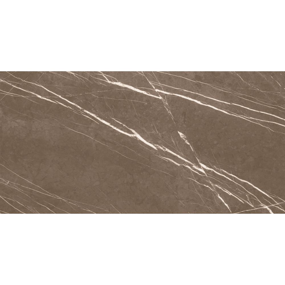 Porcelanato Damme Armani Bronzo Polido 61x120 - revesteonline